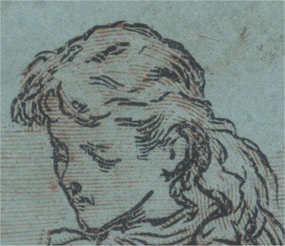 Early Botany Illustrated